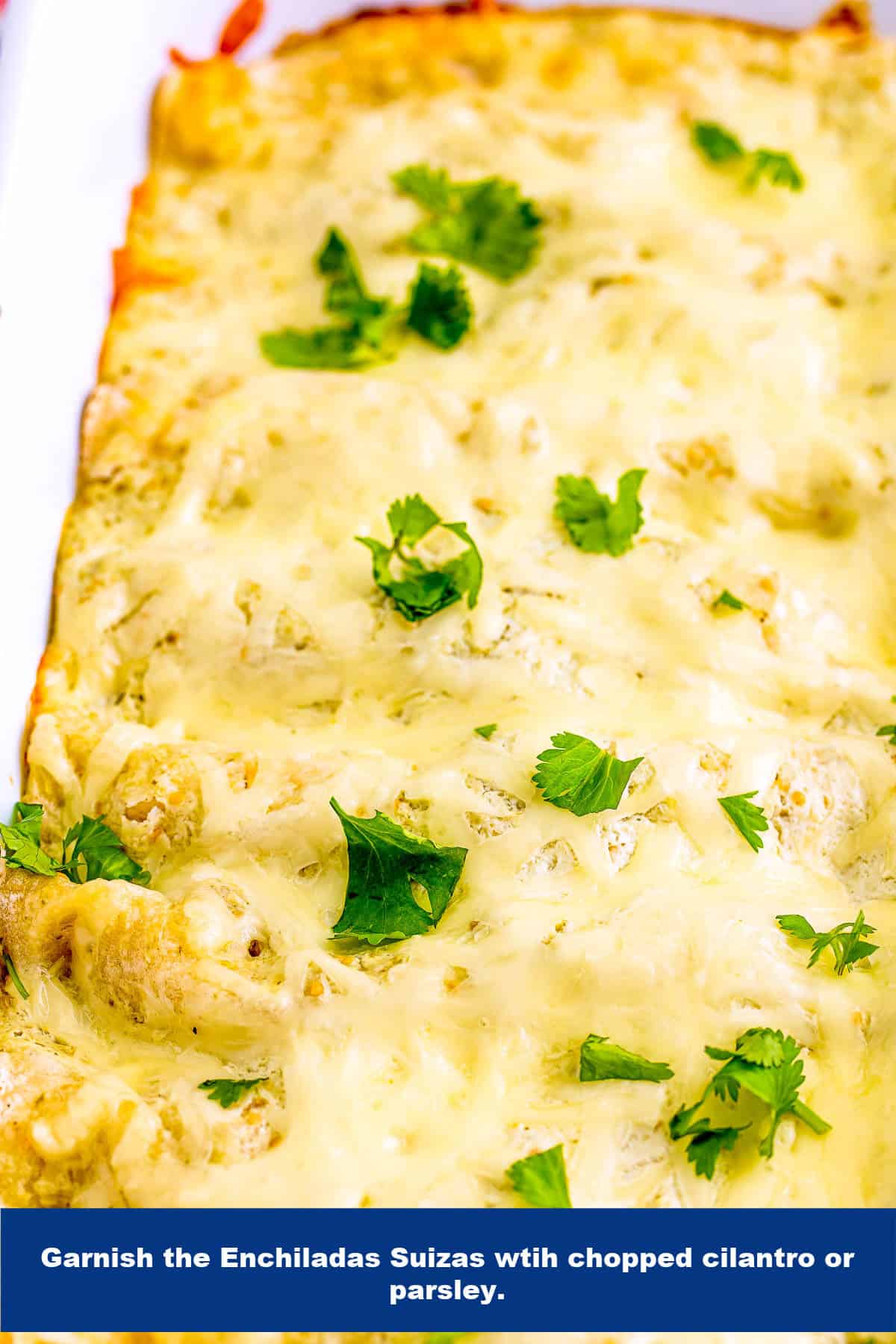 Enchiladas Suisses